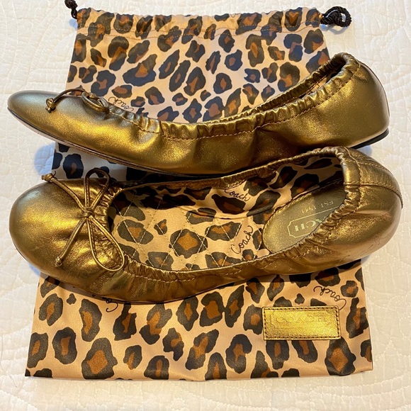 Coach | Shoes | Coach Jilly Metallic Leather Ballet Flats Sz 9 | Poshmark